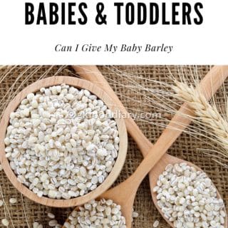 Baby food recipes